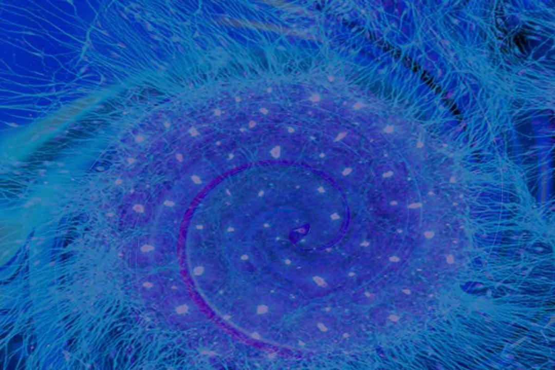 Stem Cells can now grow bone, cartilage tissues for humans - Cleanroom ...