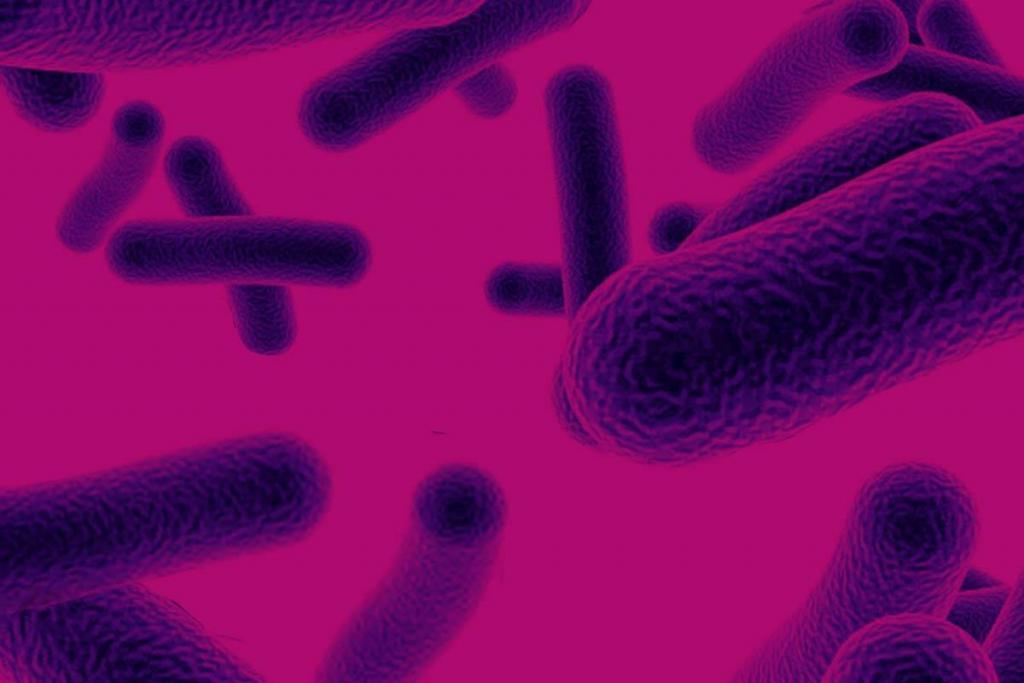 Bacteria Spores in Space - Cleanroom Connect