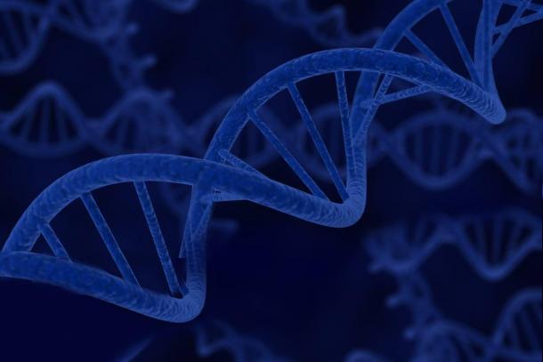 CRISPR Gene Editing Technology - Cleanroom Connect